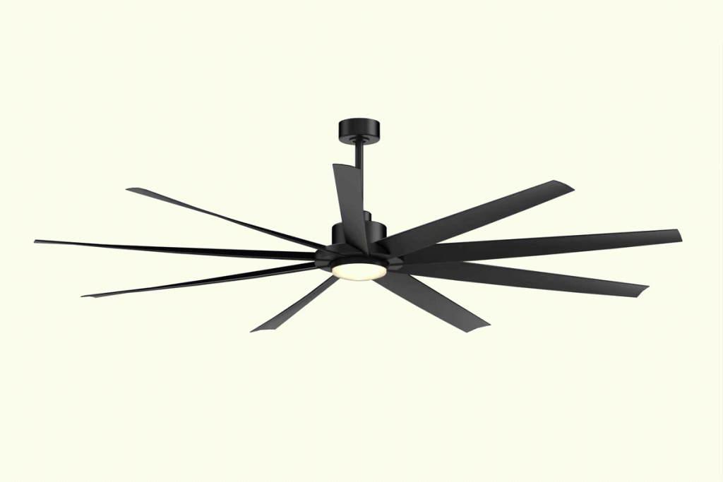 EightyFour – Fanimation