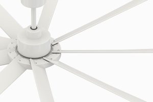 EightyFour – Fanimation