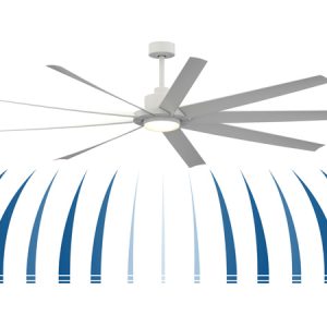 Studio Collection – Fanimation