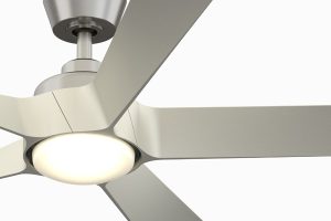 Radius – Fanimation