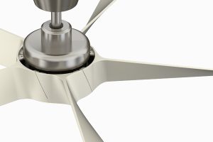 Radius – Fanimation