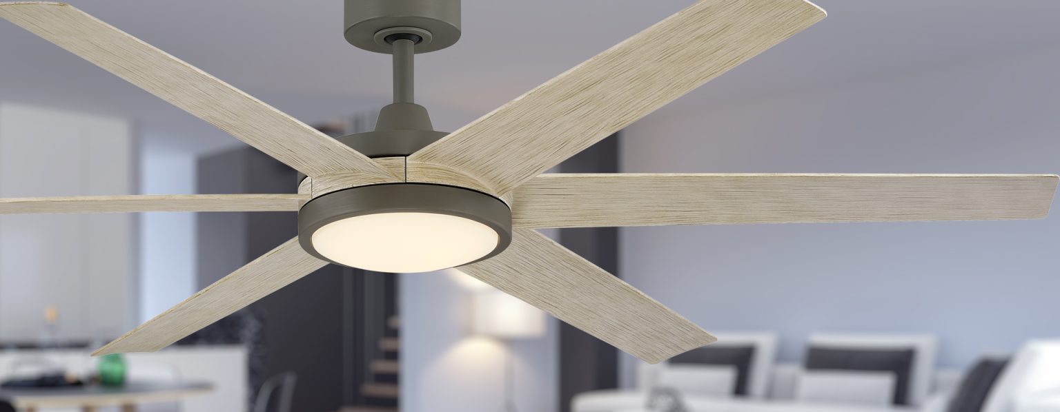 Brawn™ – Fanimation