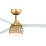 Odyn™ Custom – Fanimation