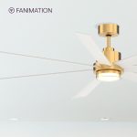 DC Motor – Fanimation